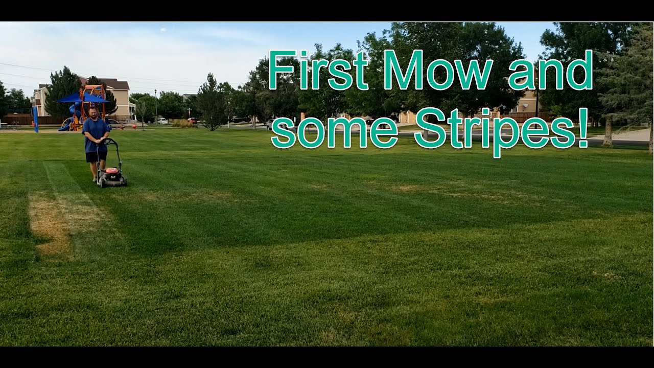 Park Project First Mow 7-31-2024 - YouTube