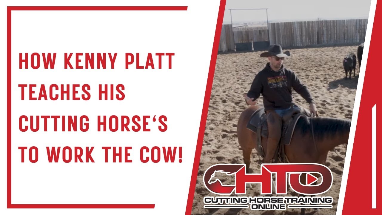 How Kenny Platt Teaches His Cutting Horse's To Work The Cow! - YouTube
