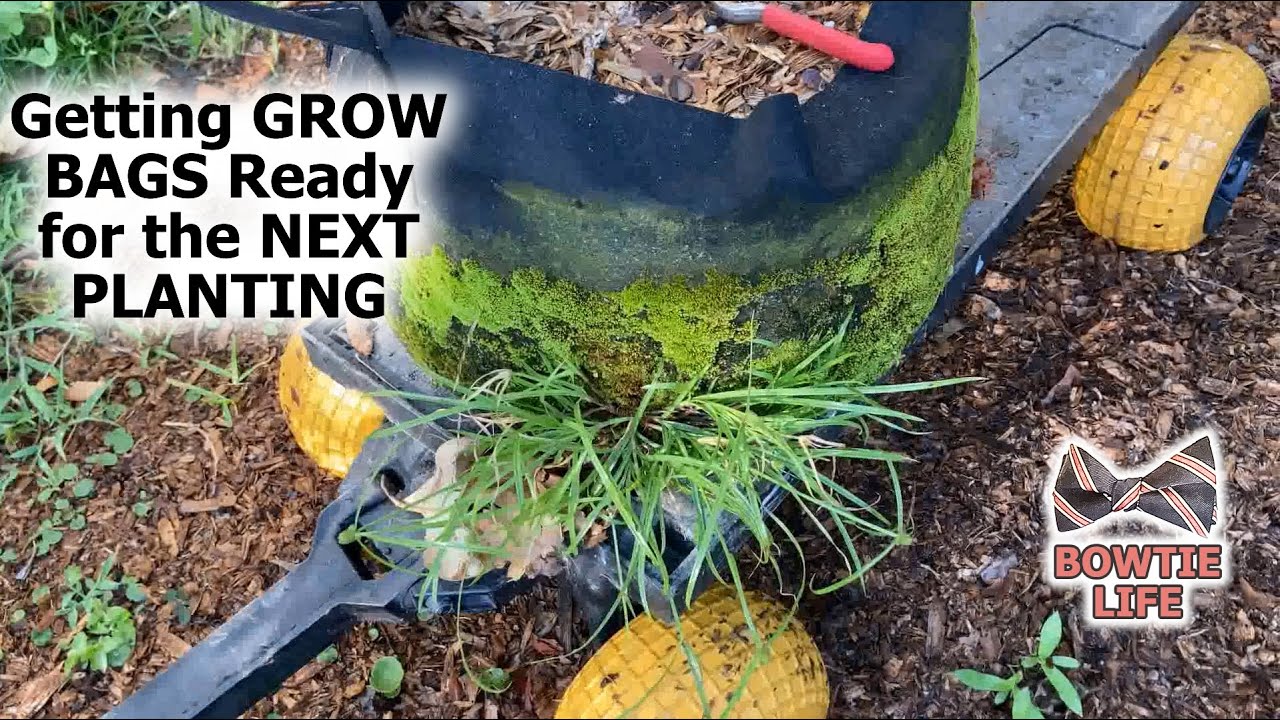 Getting Grow Bags Ready for the Next Growing Season with Tarp like a ...