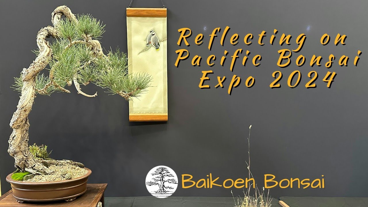 Reflecting on the Pacific Bonsai Expo 2024 - Bonsai Exhibition ...