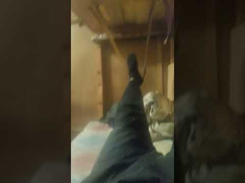 6 октября 2024 г.