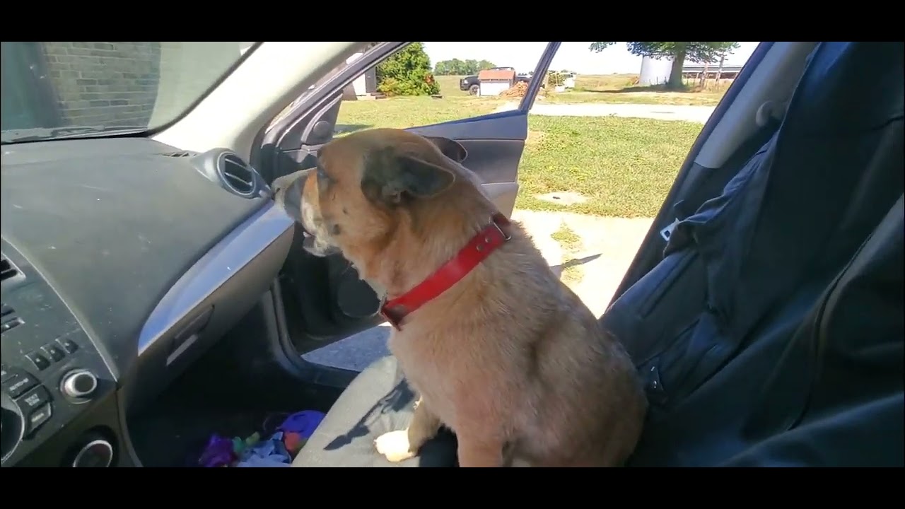 Amazon Delivery gone wrong. - YouTube