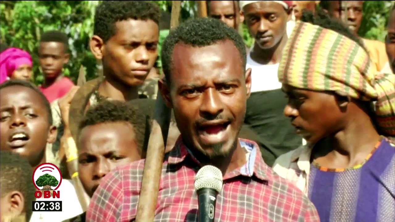 Hiriira Balaaleffannaa ABO Shanee - YouTube