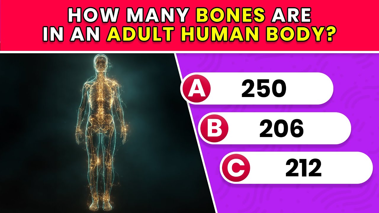 Can You Pass This Ultimate Human Body Quiz? 🧠💀 | 50 Mind-Blowing ...