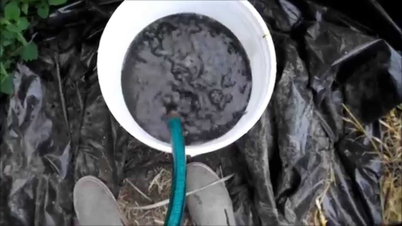 How to mix a natural bloom compost tea. - YouTube