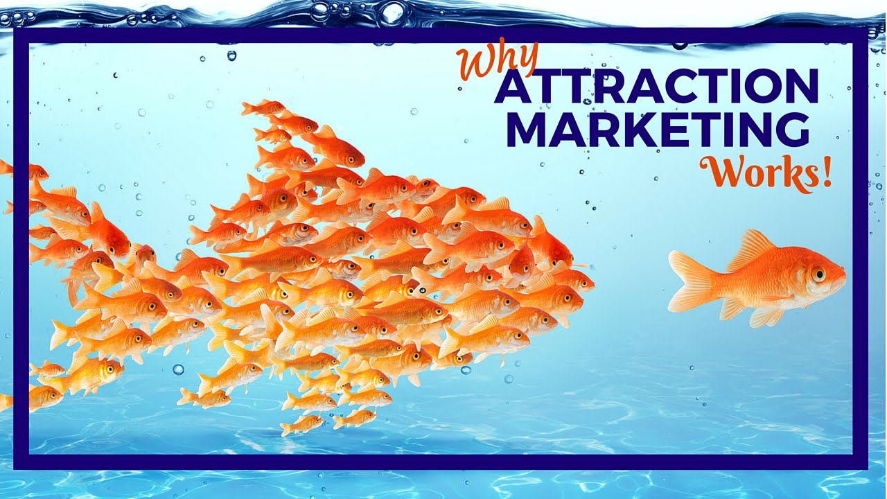 Why Attraction Marketing Works - YouTube