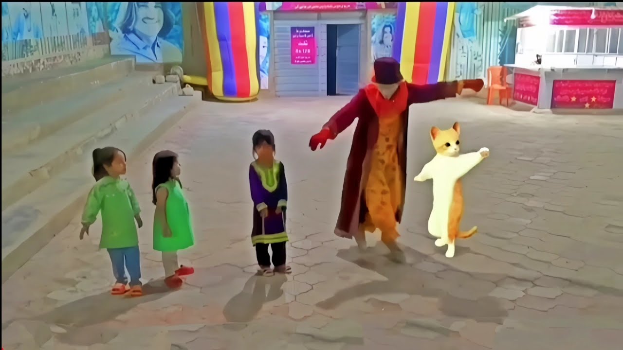 Two dancing cats | Teddy vs cat dance | #cat #cats - YouTube