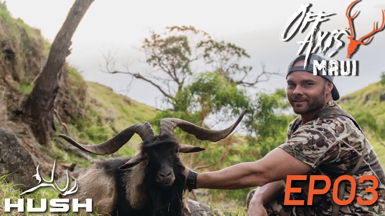 OFF AXIS | ARCHERY HUNTING HUNDREDS OF INVASIVE GOATS | S1E03 - YouTube