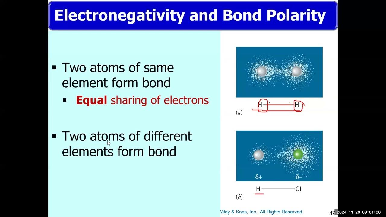 Electronegativity and Bond Polarity الكهروسلبية وقطبية الرابطة - YouTube