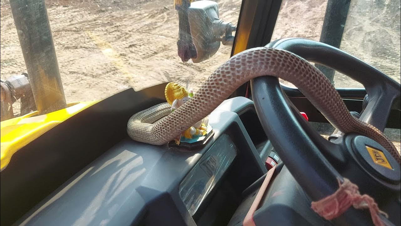 Biggest Snake While Excavator Digging The jcb machine in big snake jcb ...