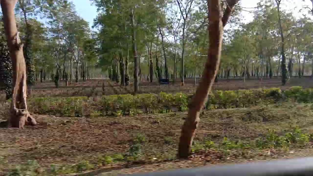 Natural Beauty of Assam//Nature of Assam - YouTube