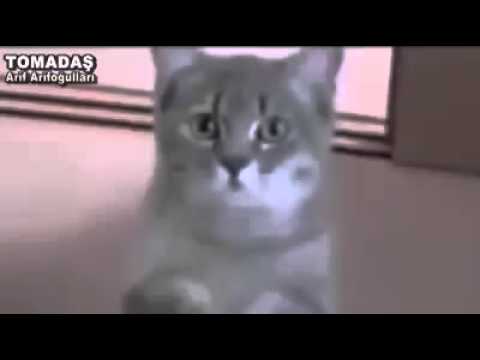 En tatlı minnoş 😂😍