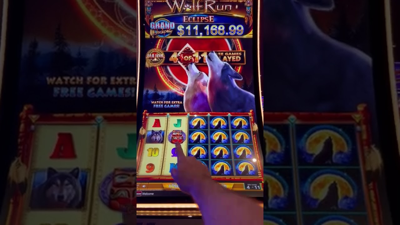 MAJOR BONUS! Wolf Run Eclipse #shorts - YouTube