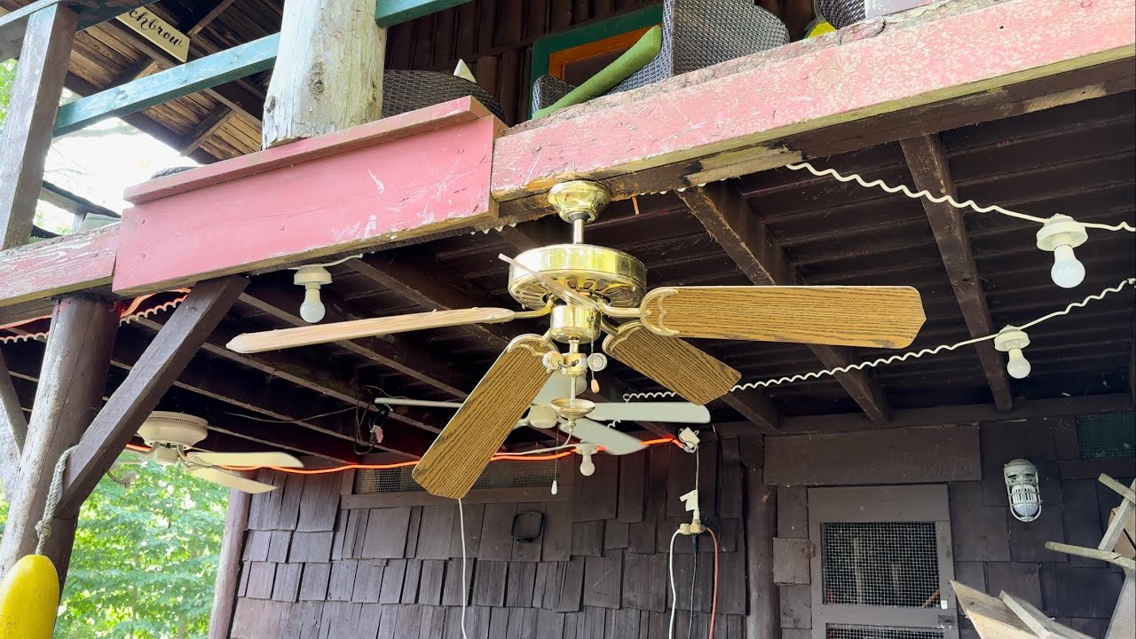Ceiling Fan Destruction #79 - YouTube