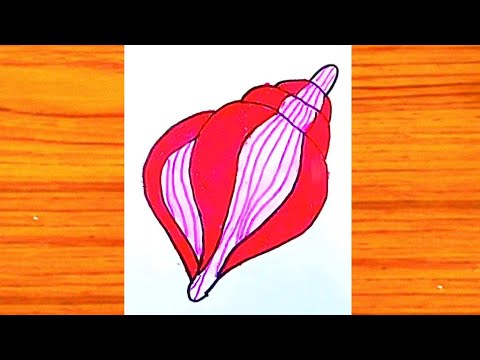 How to draw a seashell | Easy seashell drawing #seashell #shell # ...