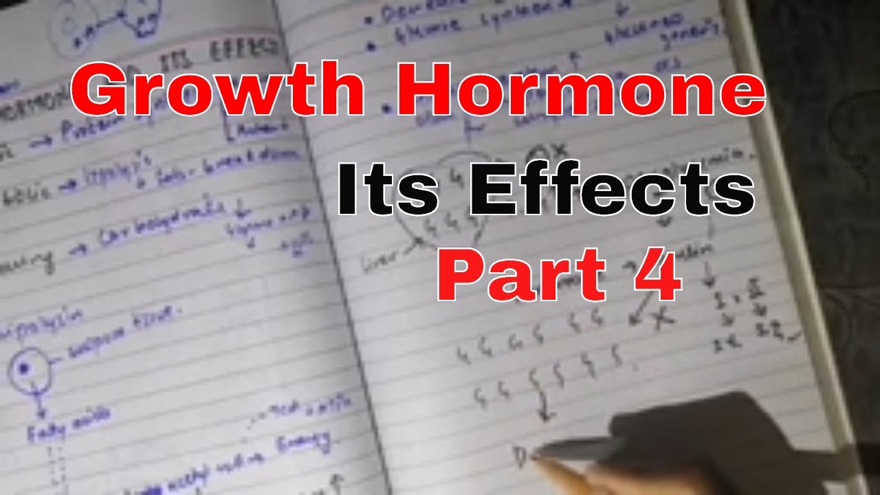 Growth hormone and its effects, part 4(last) lipolysis, carbohydrate ...