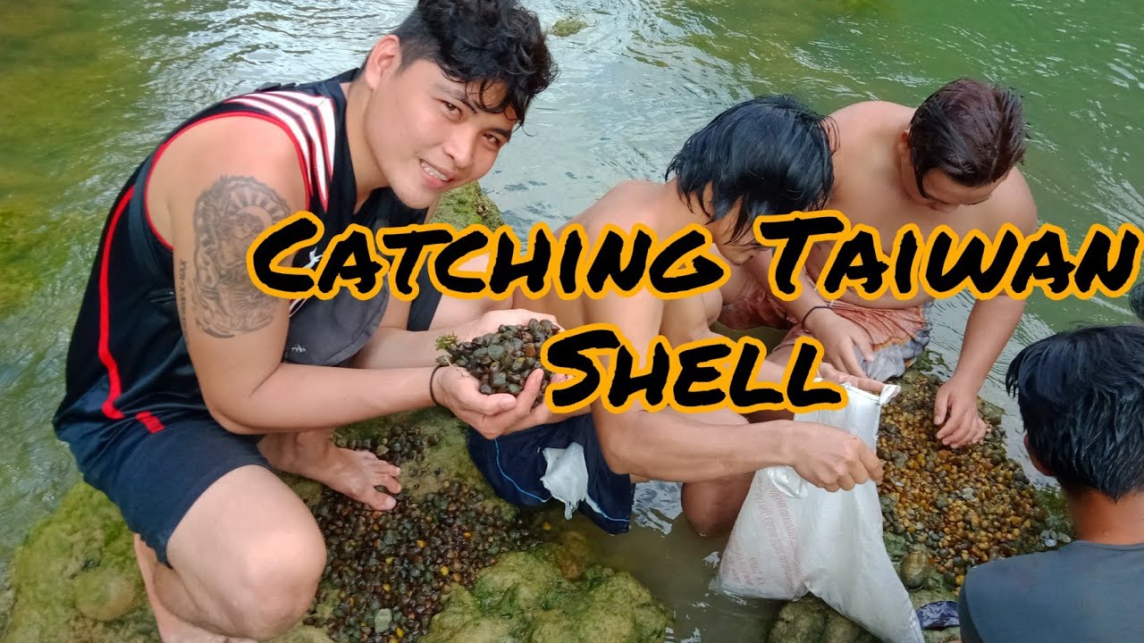 Vlog#17 Catching Taiwan Shell|Buhay Probinsya - YouTube
