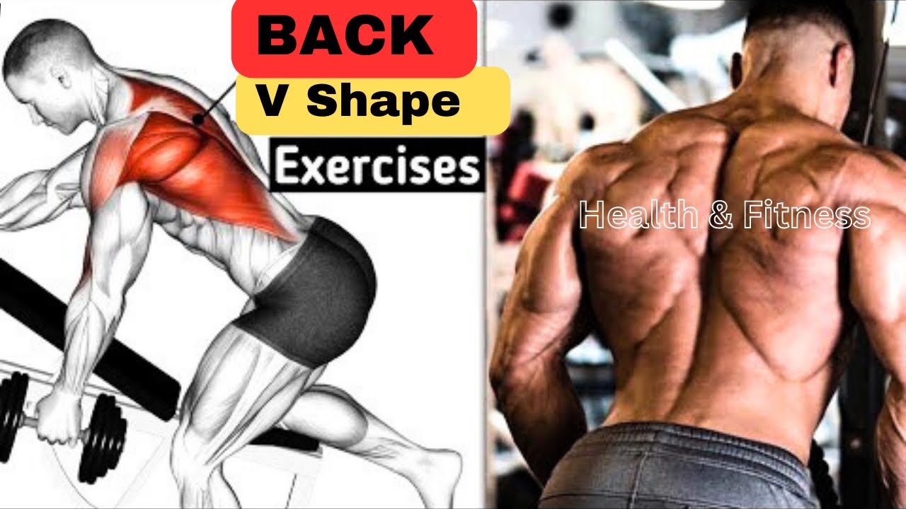 Top V-Shape Back workout | How to build back at gym | health and ...