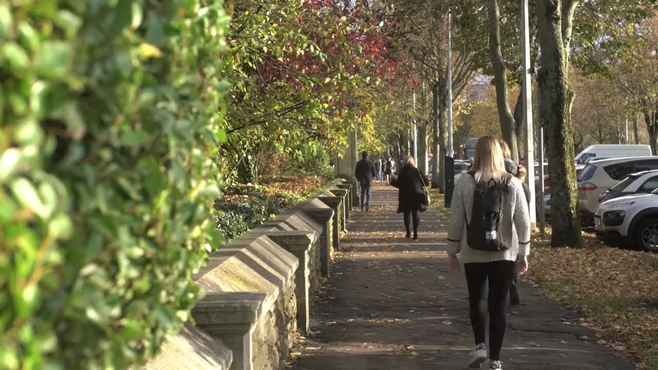 Undergraduate study at Cardiff School of Biosciences - YouTube