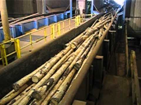 Logs in Conveyor #2 - YouTube