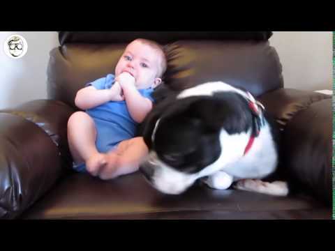 Bimbo fa una scoreggia e il cane scappa