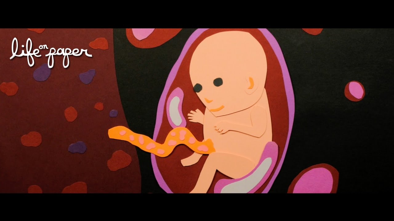 Life on Paper Full Film - YouTube