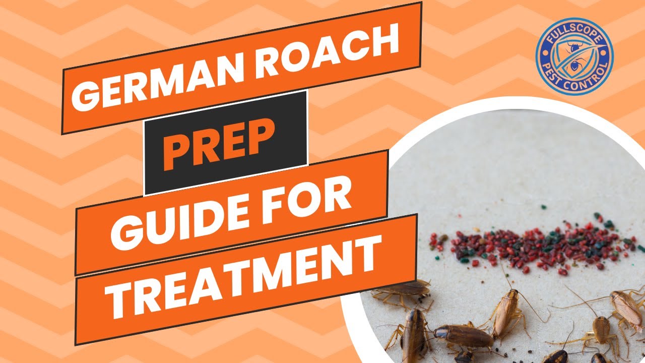 Preparing for German Roach Treatment - FullScope - YouTube
