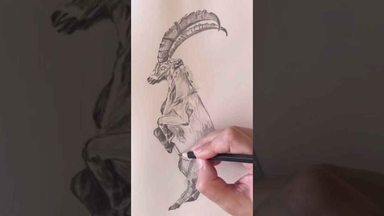 #short how to draw animal/ ibex/ markhor - YouTube