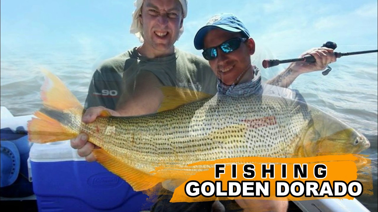 Fishing Golden Dorado - Argentina Trip to Famous Parana River - YouTube