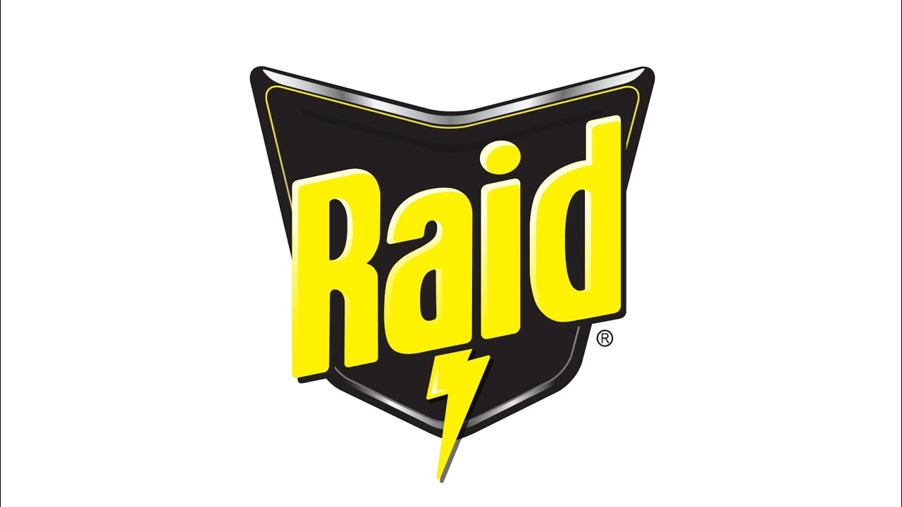 raid animation - YouTube