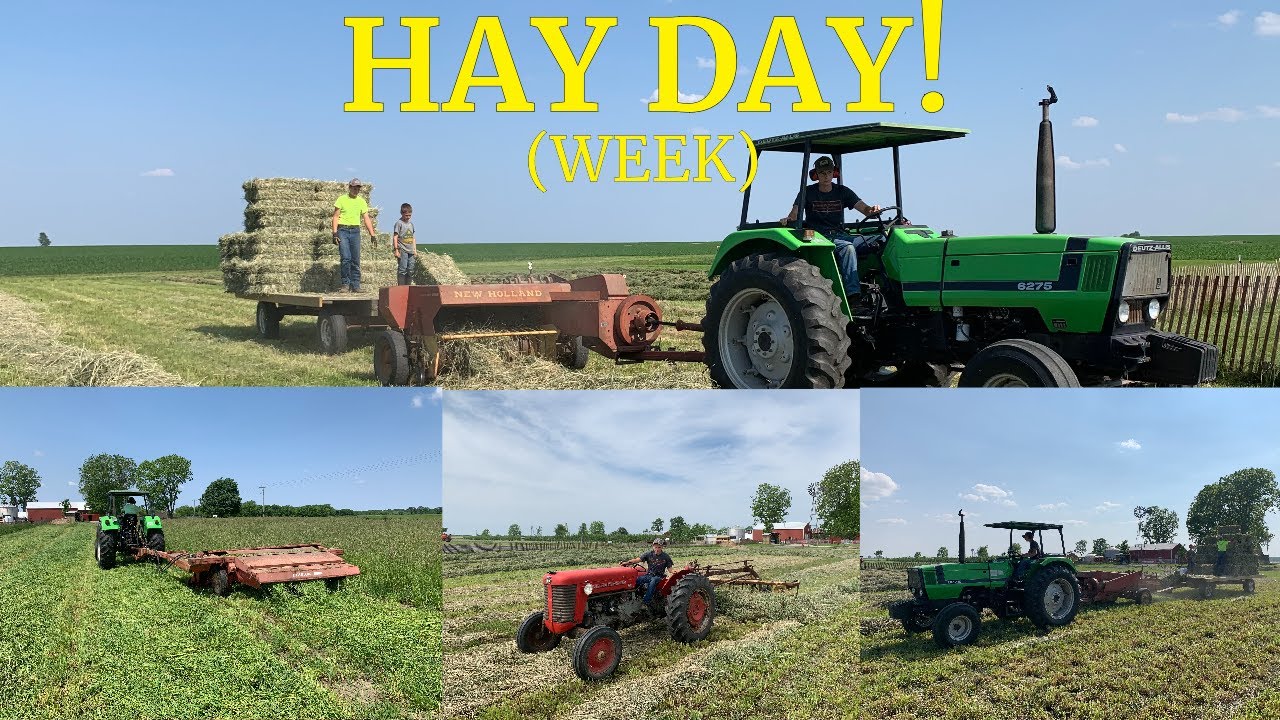 Having a Hay Day (Week) at the Farm! - YouTube