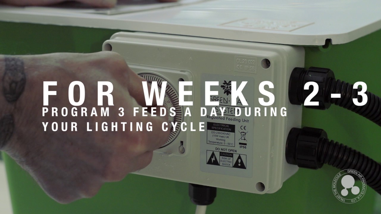 Green Man How To: Setting Up Your Brain Controller - YouTube