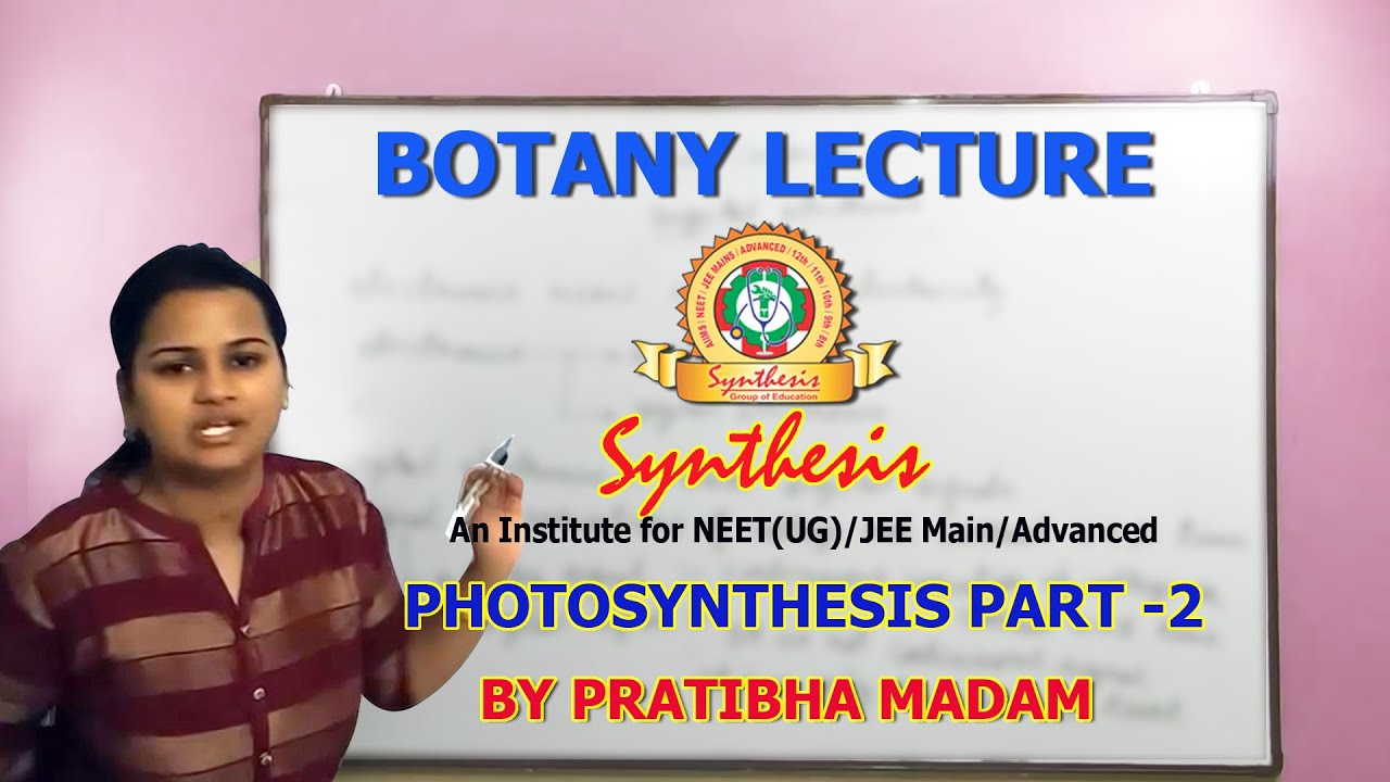 PHOTOSYNTHESIS PART - 2 - YouTube