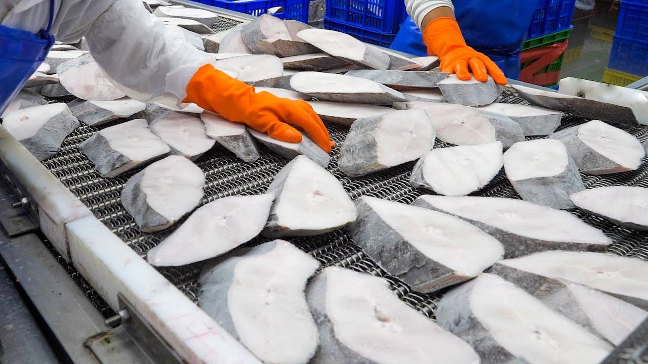 Halibut Fish Steak mass production factory, Steamed fish steak / 大比目魚排量 ...
