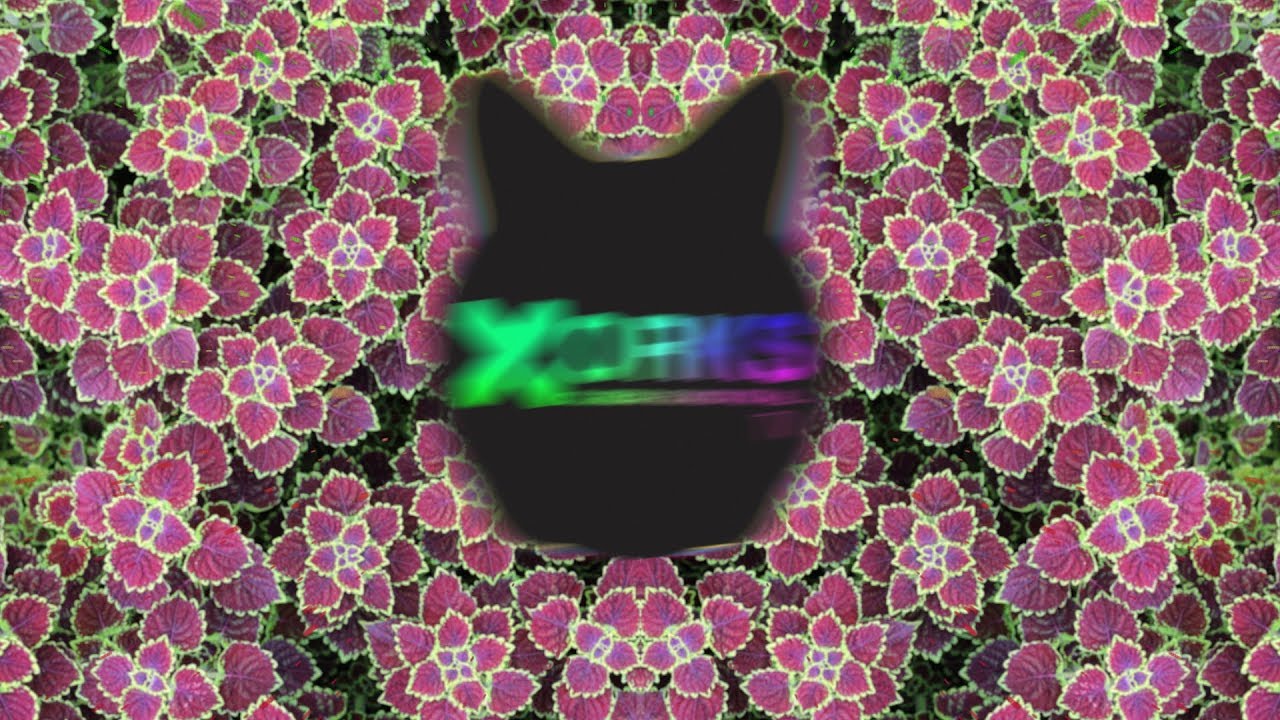 Mica - LSD - YouTube