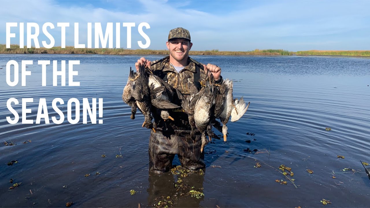 2 Man Marsh Limit! // Louisiana Public Land Duck Hunting 2019-20 - YouTube