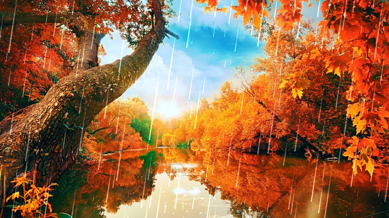 Light Rain Sounds For Sleep ~In The Colorful Rainforest With Nature ...