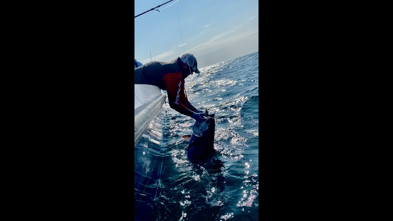 Multiple Bluefin Tuna Jigged Up off Cape Cod in August! - YouTube