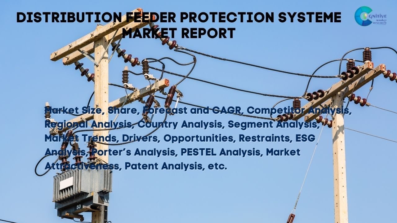 Distribution Feeder Protection System Market Report 2024 - YouTube