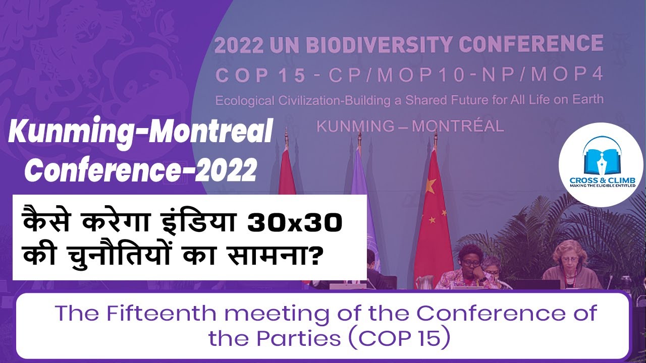 The Fifteenth meeting of the Conference of the Parties (COP 15) - YouTube