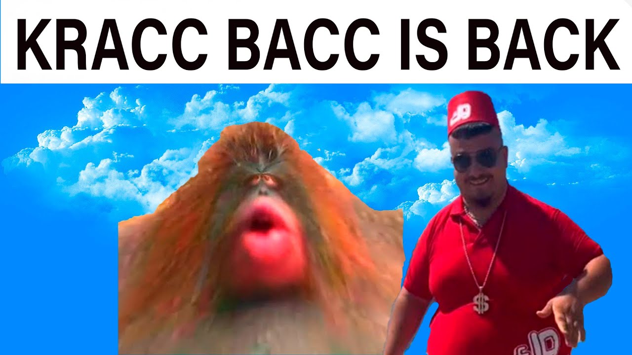 Kracc Bacc is back - YouTube