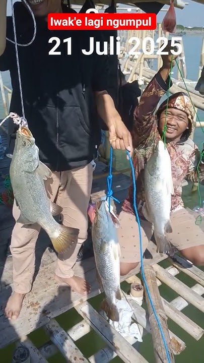 21 juli 2025 rumpon pak kandik sodong sayung Demak #mancingkakap - YouTube