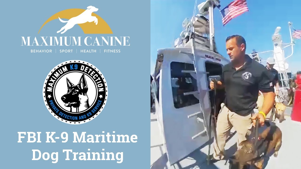 FBI K-9 Maritime Dog Training - YouTube