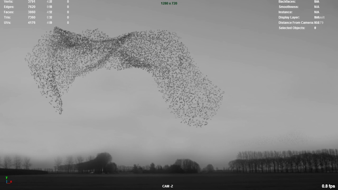 3D Birds flocking - YouTube