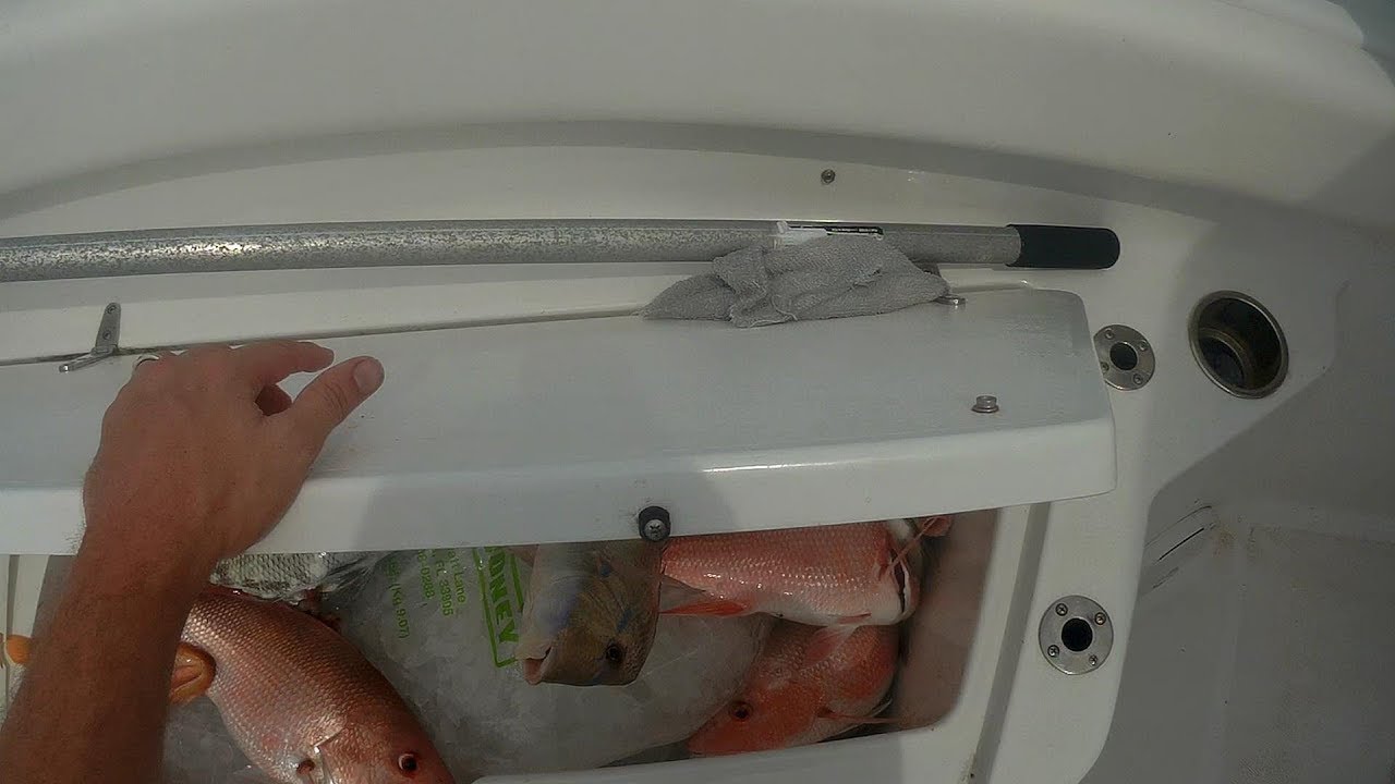 HUGE PORGY - Snapper Fishing 70 Miles Offshore Part 2 - YouTube