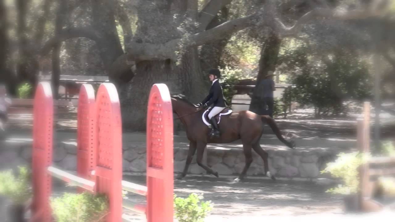 Fall Foxfield Show - YouTube