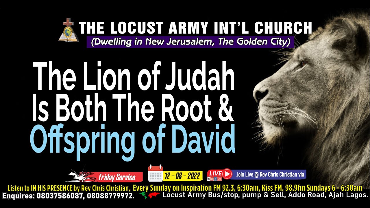 Rev. Chris Christian - THE LION OF JUDAH IS BOTH THE ROOT AND OFFSPRING ...