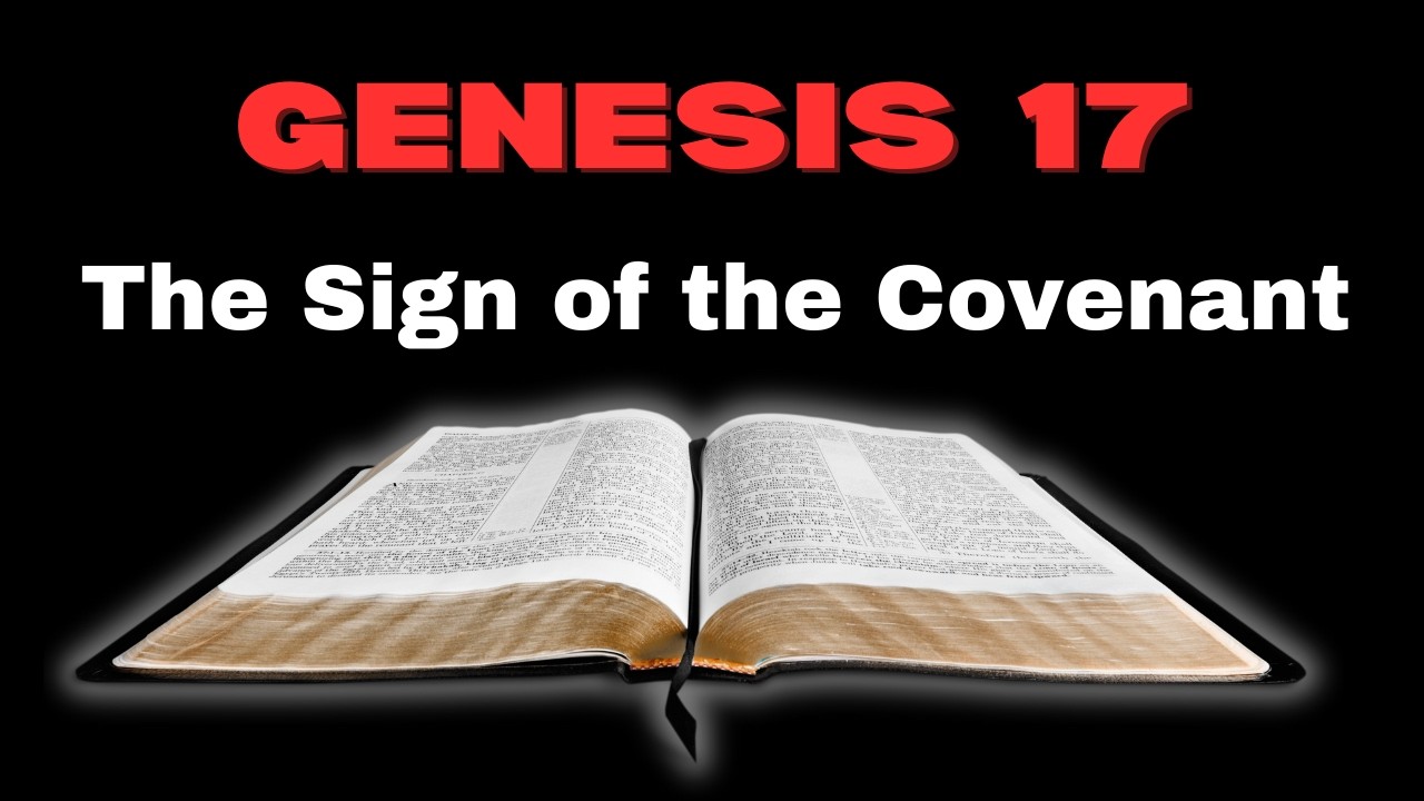 Daily Bible Reading - Genesis 17 | Bible Audio - YouTube