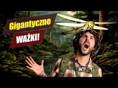 MEGANEURA - największy OWAD w historii Ziemi! - najdziwniejsze zwierzęta świata #9