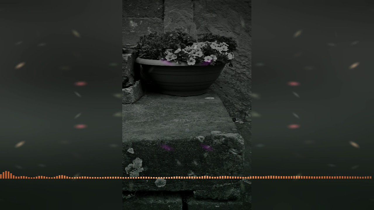 Spring In My Step Intro Video feat. (Music Trap) - YouTube